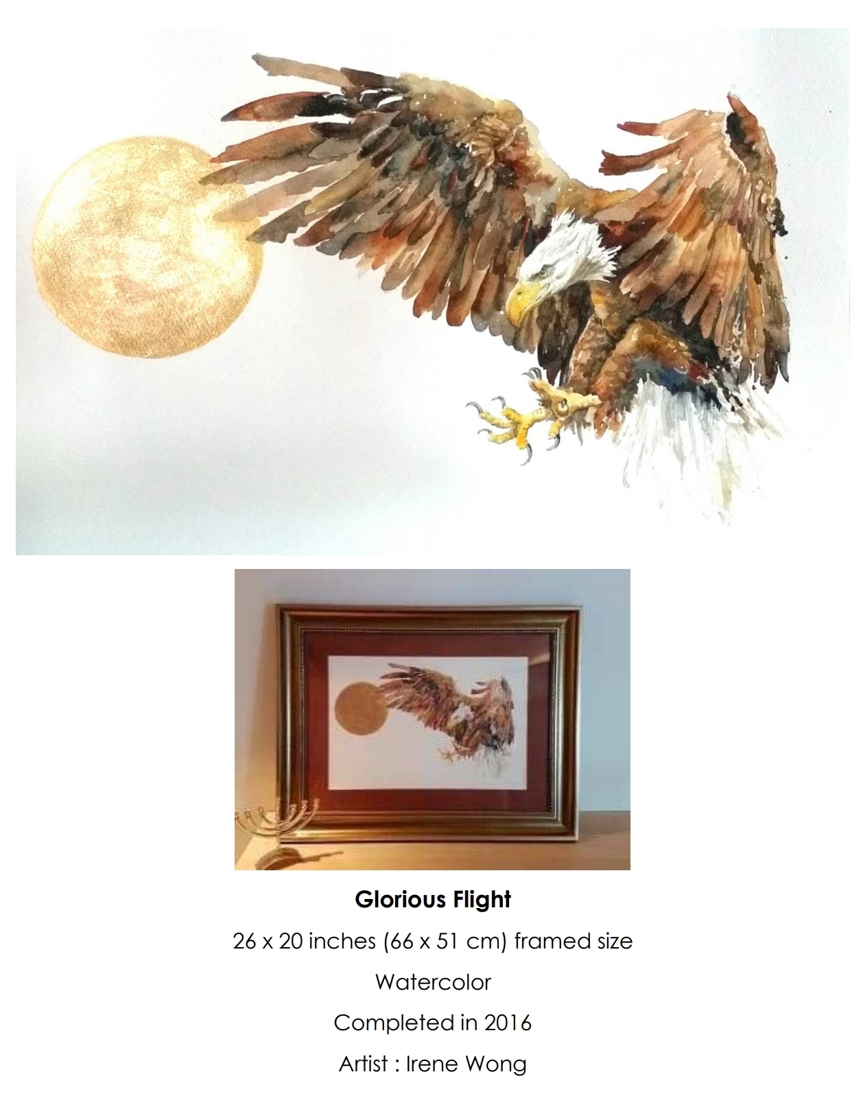 Golden Flight – Tirosh Journey