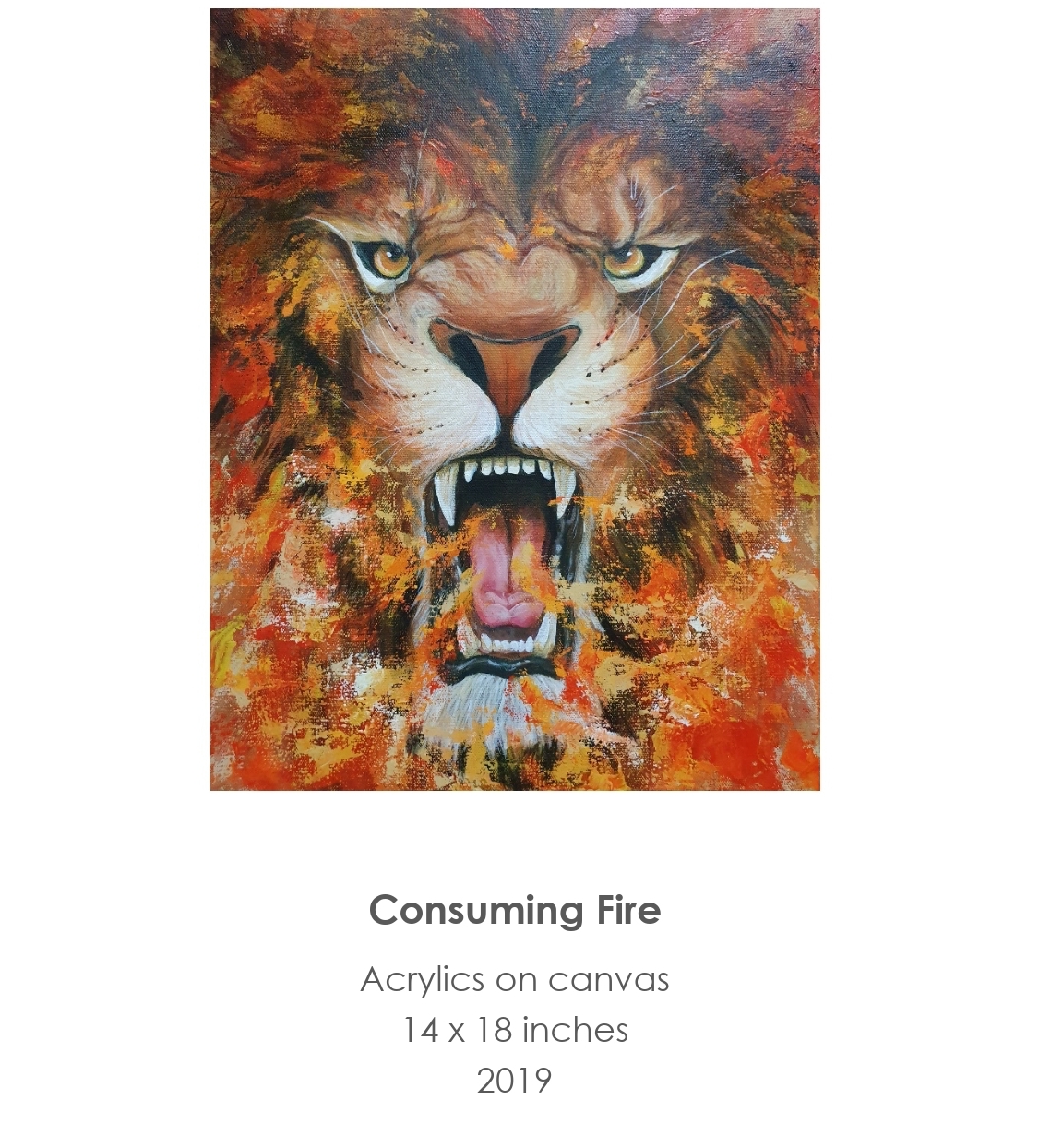 Consuming Fire – Tirosh Journey